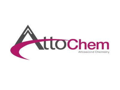 COST Action Attochem Meeting - Simune Atomistics