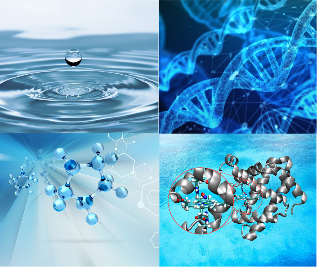 Modelling Bio-systems with explicit solvent - Simune Atomistics